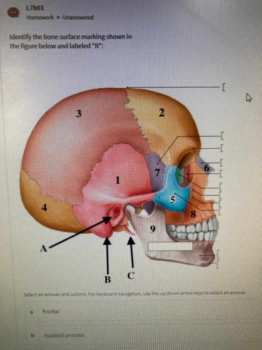 Solved match the following labels indicated in each question | Chegg.com