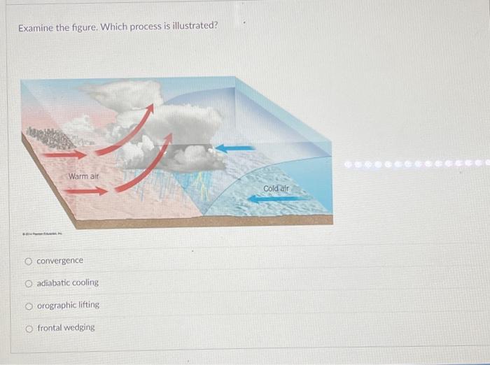 Solved Examine the figure. Which process is illustrated? | Chegg.com