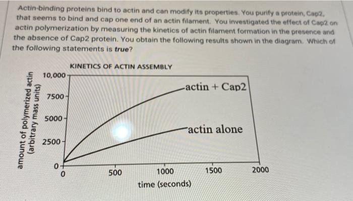 Solved Actin-binding proteins bind to actin and can modify | Chegg.com