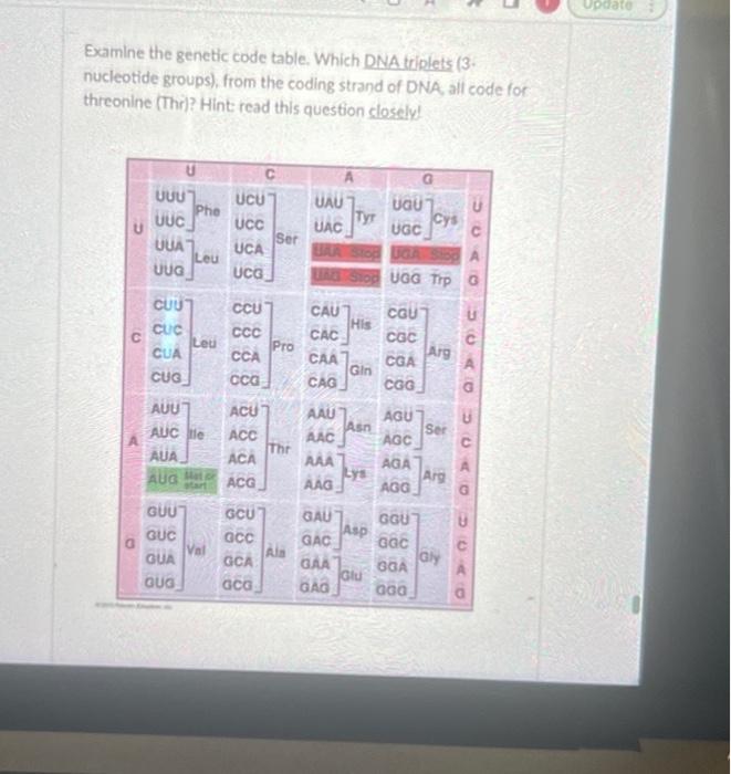 Solved Examine the genetic code table. Which DNA triplets | Chegg.com
