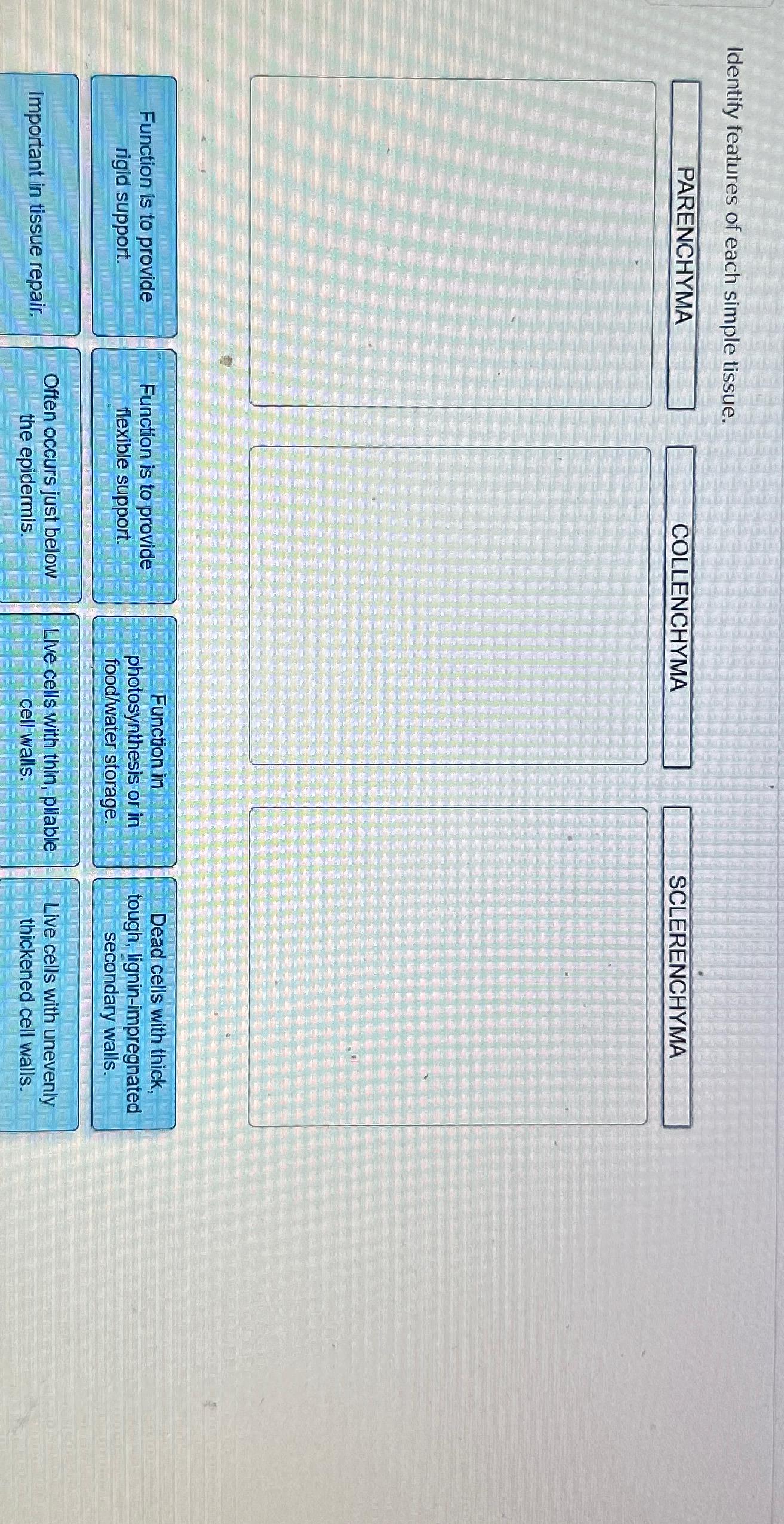 Solved Identify features of each simple | Chegg.com