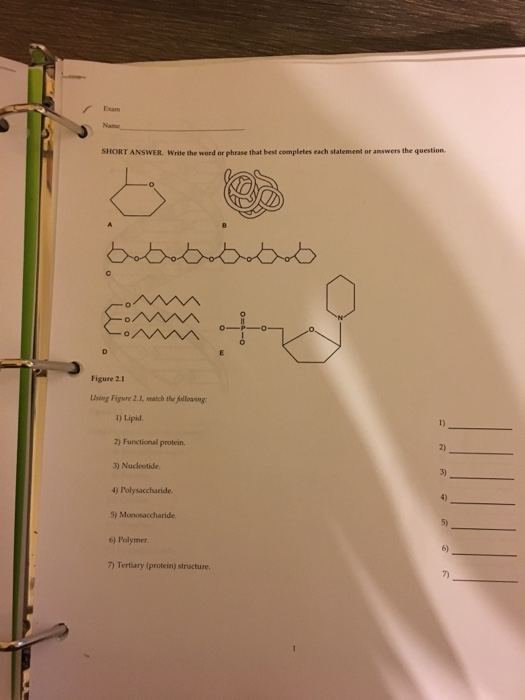 Solved SHORT ANSWER. Write the word or phrase that best | Chegg.com Solved SHORT ANSWER. Write the word or phrase that best | Chegg.com
