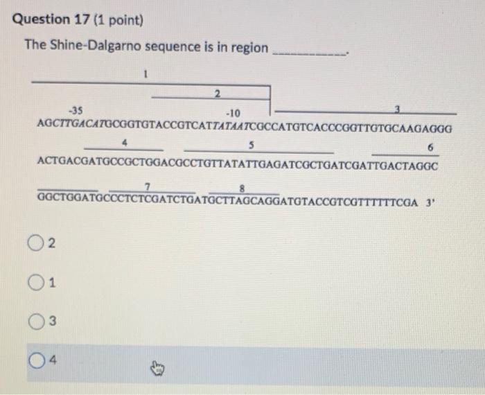 Solved Question 17 (1 point) The Shine-Dalgarno sequence is | Chegg.com