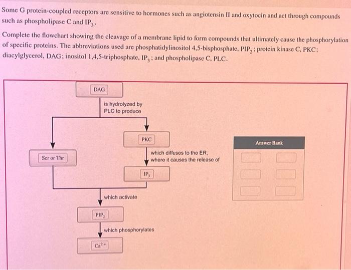 Solved Some G protein-coupled receptors are sensitive to | Chegg.com