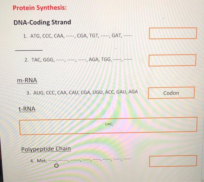 Solved Protein Synthesis: DNA-Coding Strand 1. ATG, CCC, | Chegg.com
