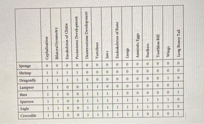 Solved 1. Draw a phylogeny with the appropriately labled | Chegg.com
