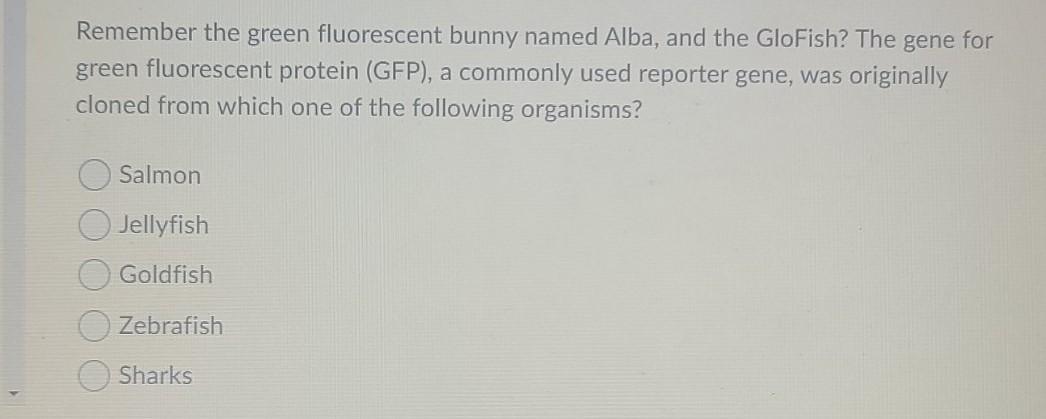 Solved Remember the green fluorescent bunny named Alba, and | Chegg.com