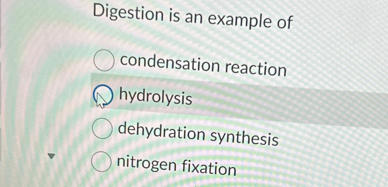 Solved Digestion is an example ofcondensation | Chegg.com