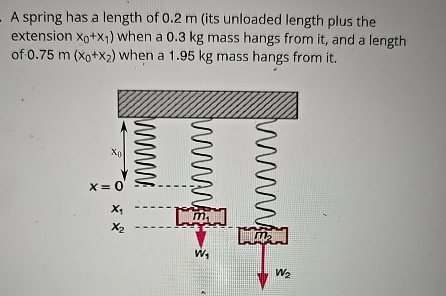 Solved A spring has a length of 0.2m (its unloaded length | Chegg.com