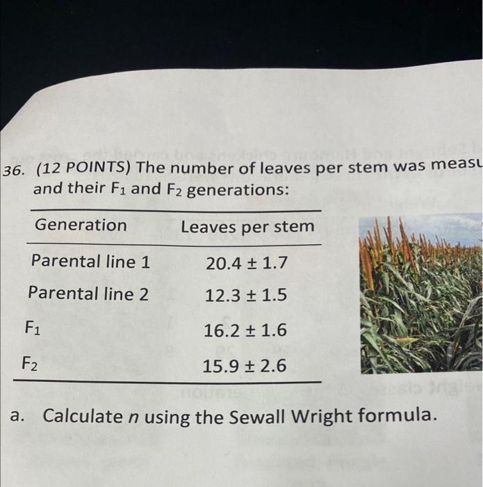 Solved 36. (12 POINTS) The number of leaves per stem was | Chegg.com