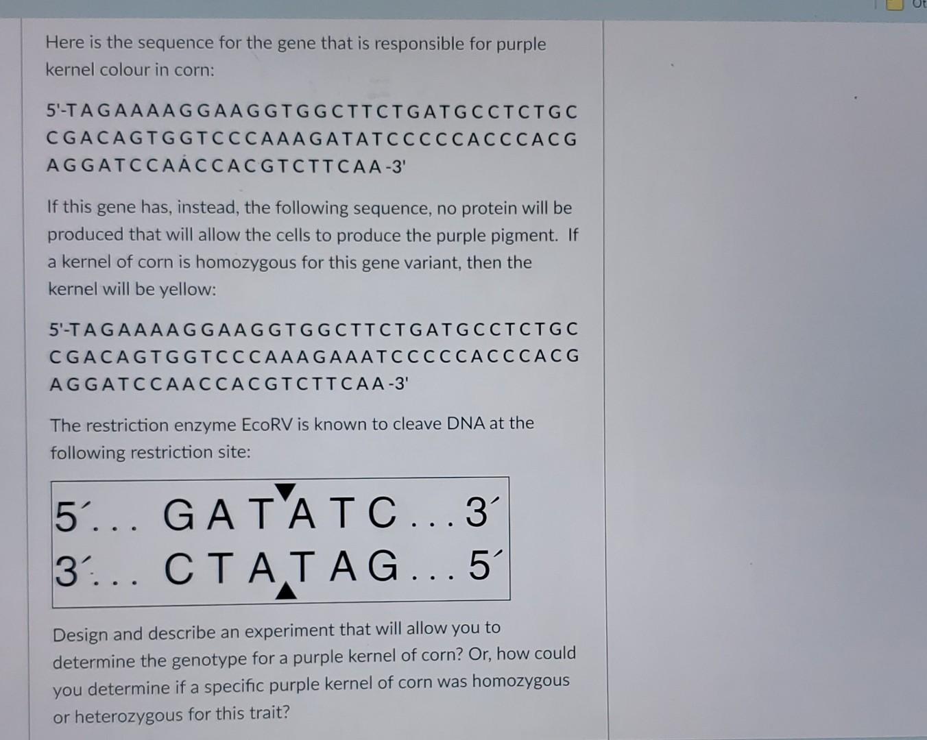 Solved Here is the sequence for the gene that is responsible | Chegg.com