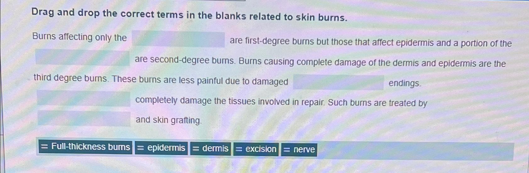 Solved Drag and drop the correct terms in the blanks related | Chegg.com