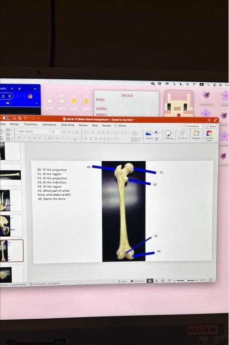 Solved identify the parts with arrows. and identify the | Chegg.com