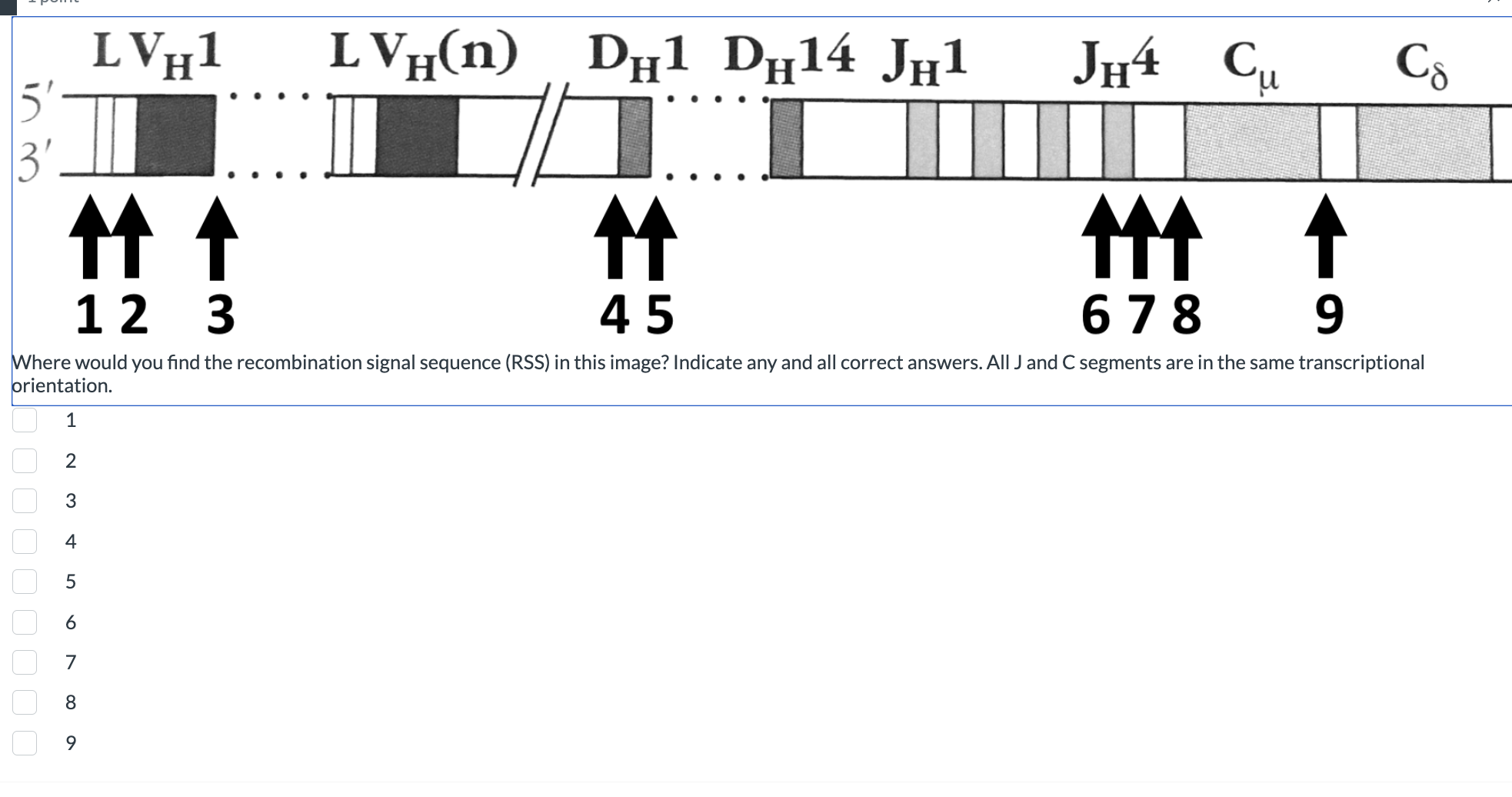 Solved I just need the answer no explanation | Chegg.com