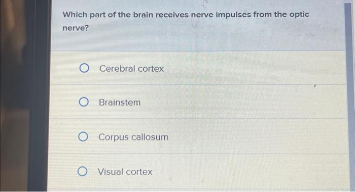 Solved Which part of the brain receives nerve impulses from | Chegg.com