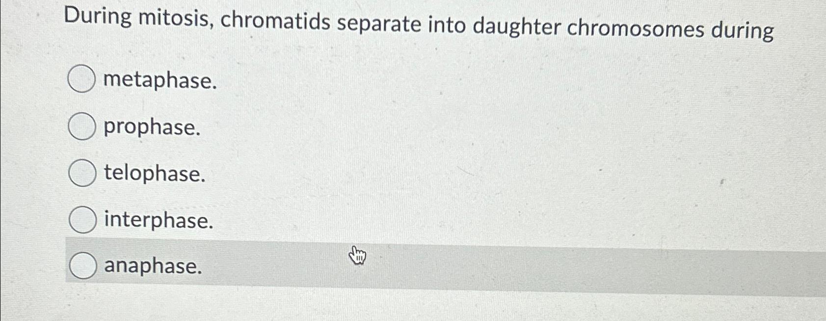 Solved During mitosis, chromatids separate into daughter | Chegg.com