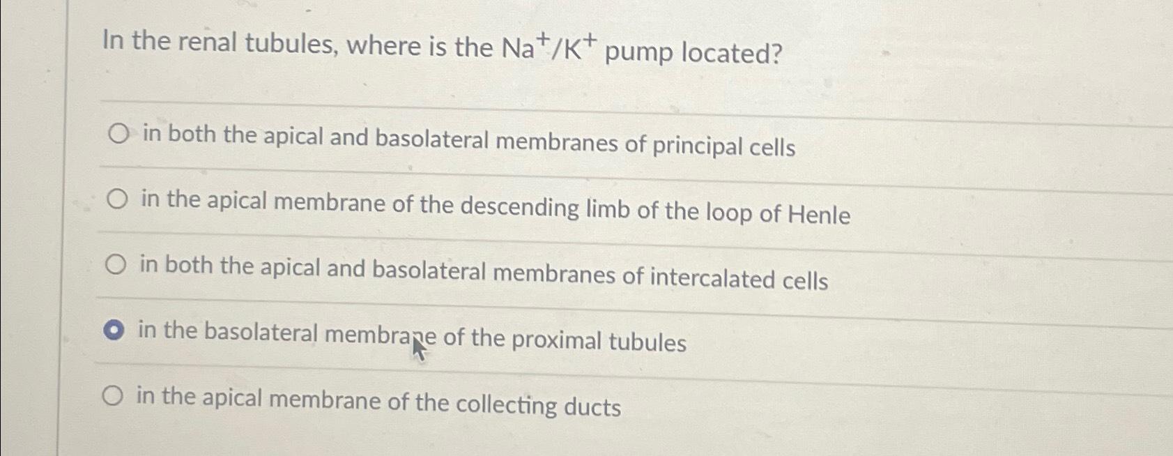 Solved In the renal tubules, where is the Na+K+pump | Chegg.com