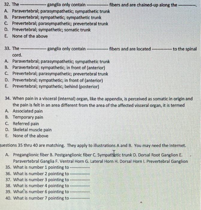 Solved 32. The ganglia only contain fibers and are | Chegg.com