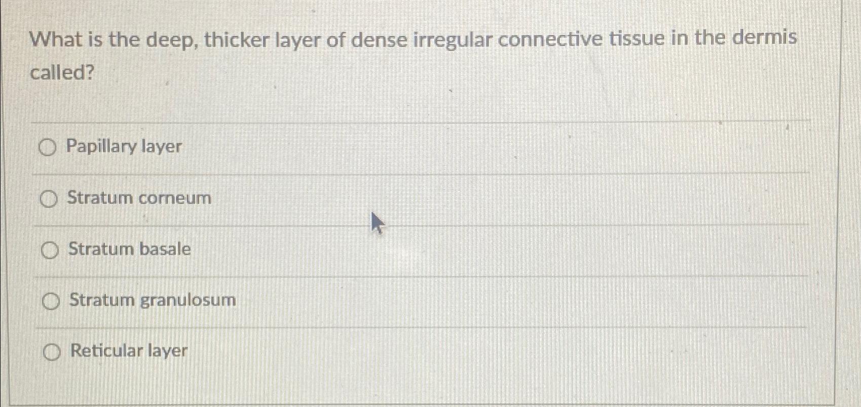 Solved What is the deep, thicker layer of dense irregular | Chegg.com