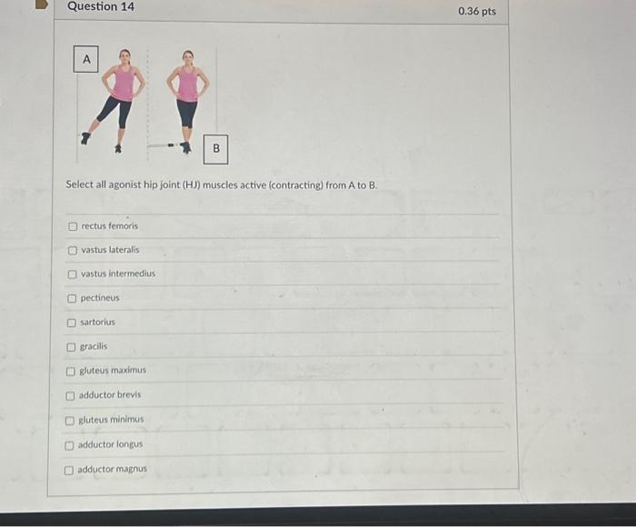 Solved Select all agonist hip joint (HJ) muscles active | Chegg.com