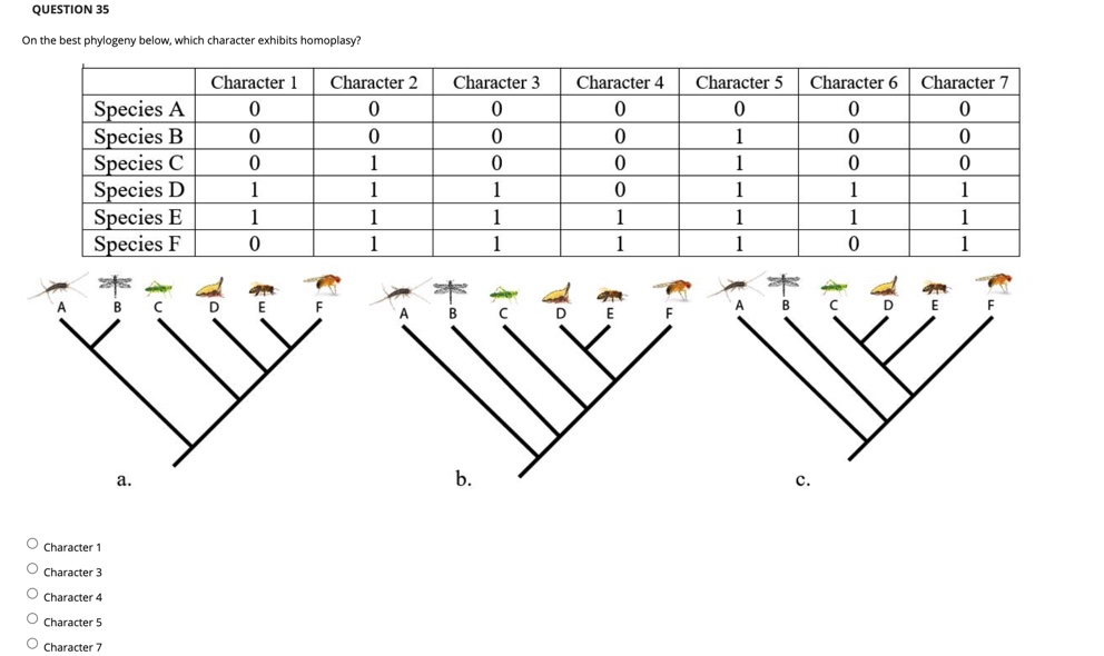 Solved Question 35on The Best Phylogeny Below Which