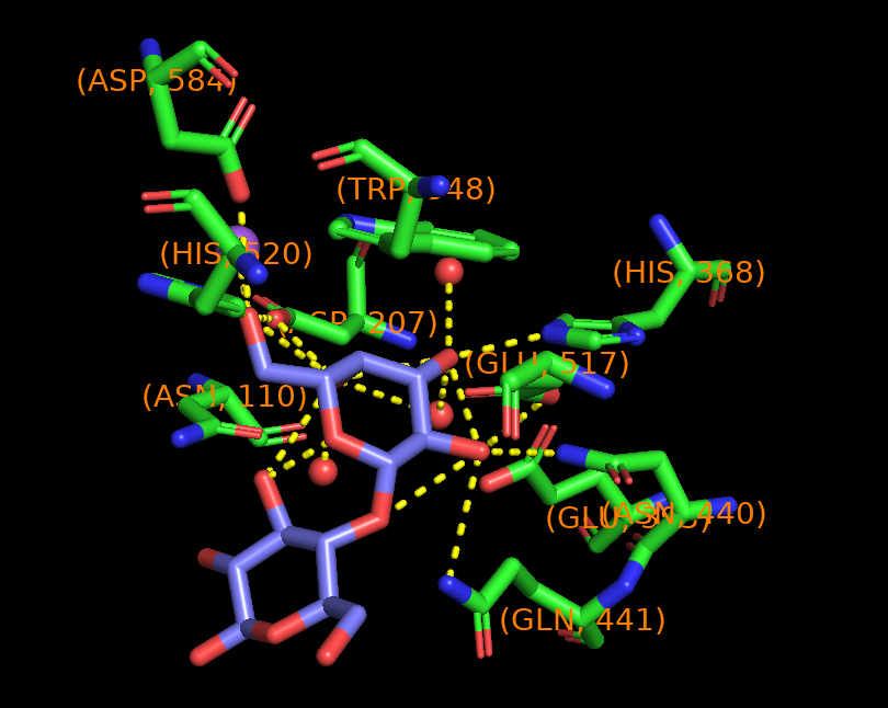 1. ﻿Download and open the PyMol file, Lactase480.pse | Chegg.com