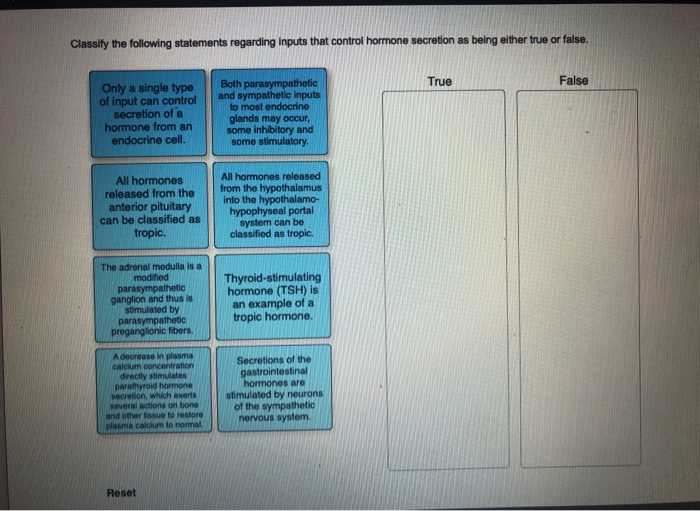 Solved Classify the following statements regarding inputs | Chegg.com
