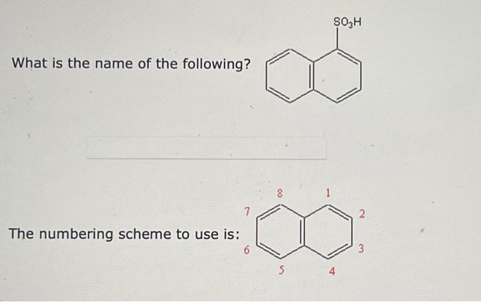 Solved What is the name of the following? The numbering | Chegg.com