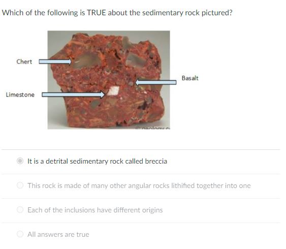 Solved Which of the following is TRUE about the sedimentary | Chegg.com