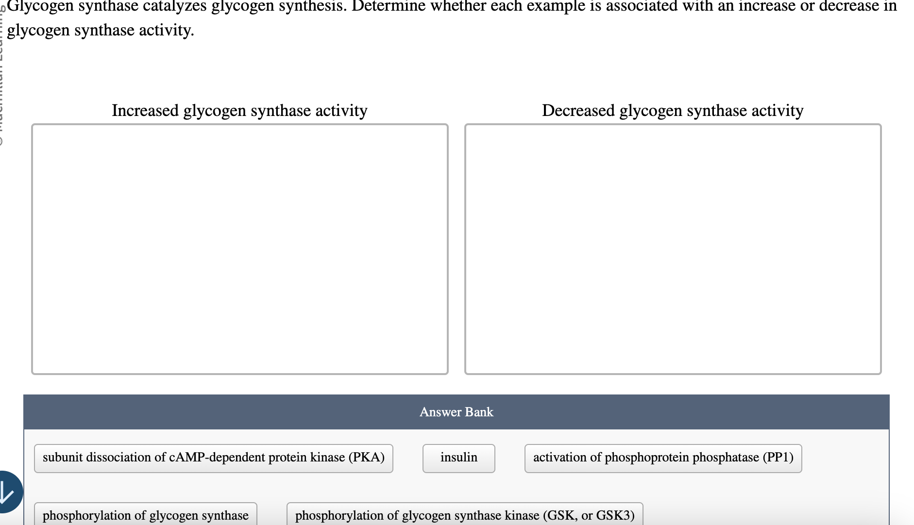 Solved oGlycogen synthase catalyzes glycogen synthesis. | Chegg.com