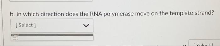 Solved The sequence of a COMPLETE hypothetical eukaryotic | Chegg.com