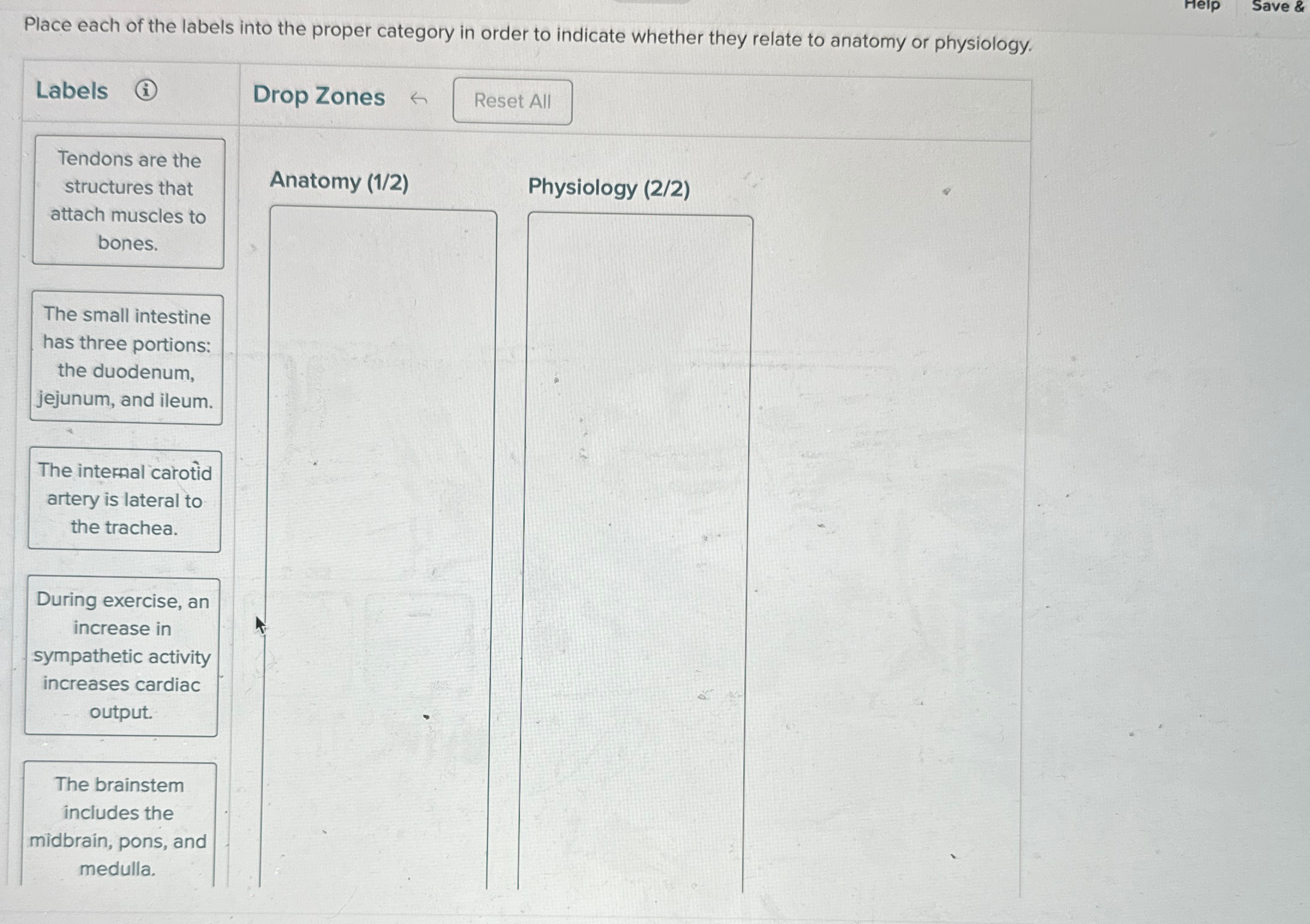 Solved HelpSave &Place each of the labels into the proper | Chegg.com