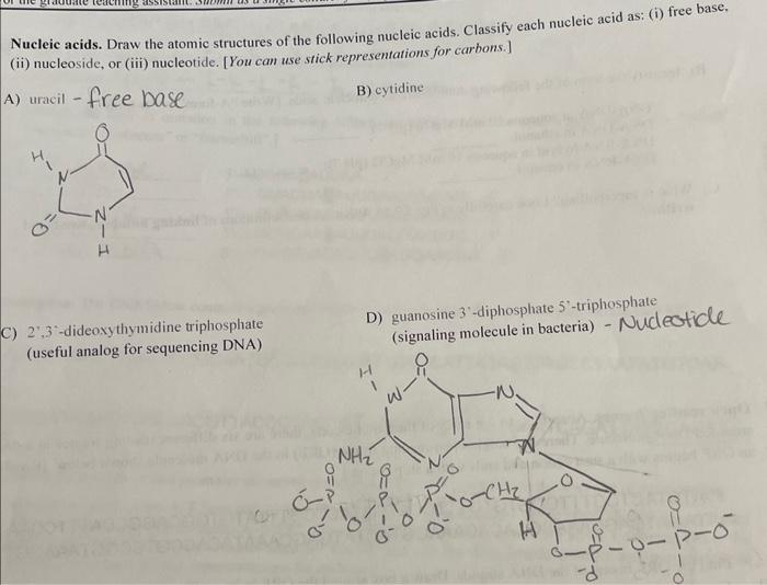 Solved Nucleic acids. Draw the atomic structures of the | Chegg.com