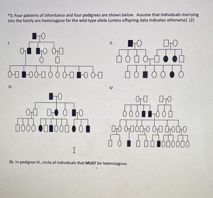 Solved *3. Four patterns of inheritance and four pedigrees | Chegg.com