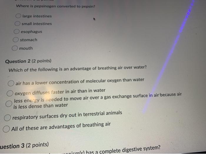Solved Where is pepsinogen converted to pepsin? large | Chegg.com