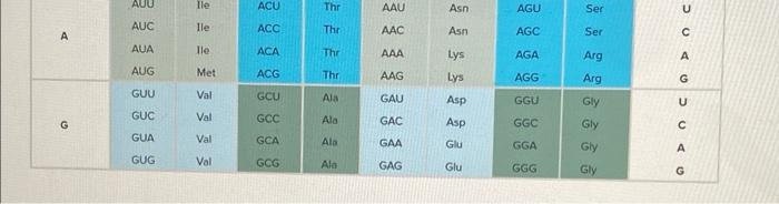 Solved Write a possible mRNA sequence that codes for each | Chegg.com