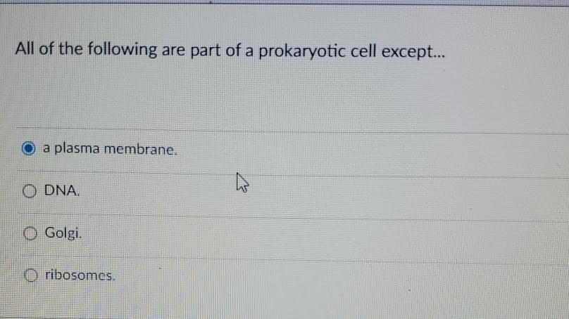 Solved All of the following are part of a prokaryotic cell | Chegg.com