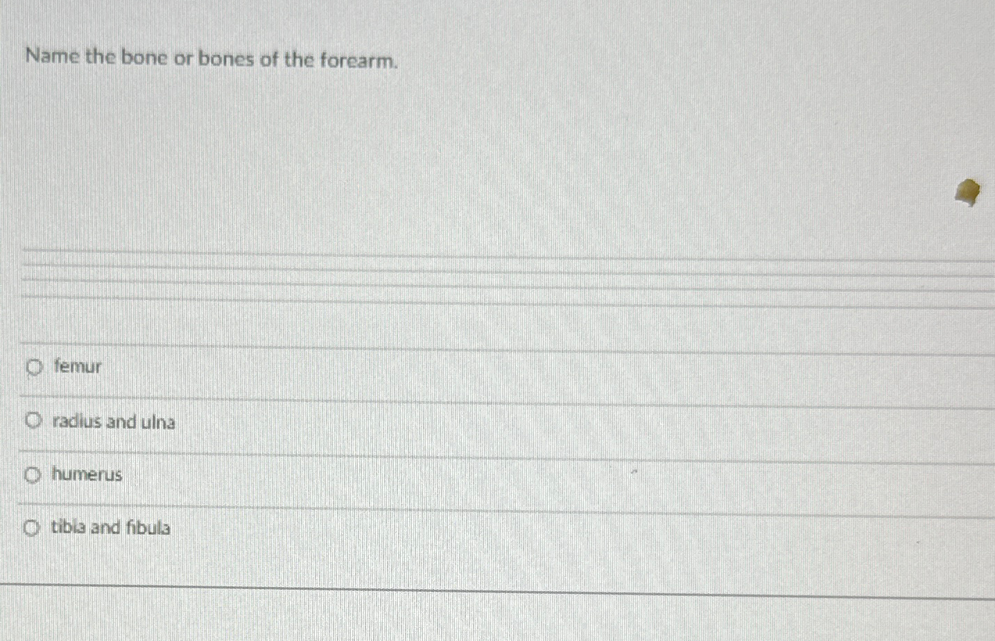 Solved Name the bone or bones of the forearm.femurradius and | Chegg.com