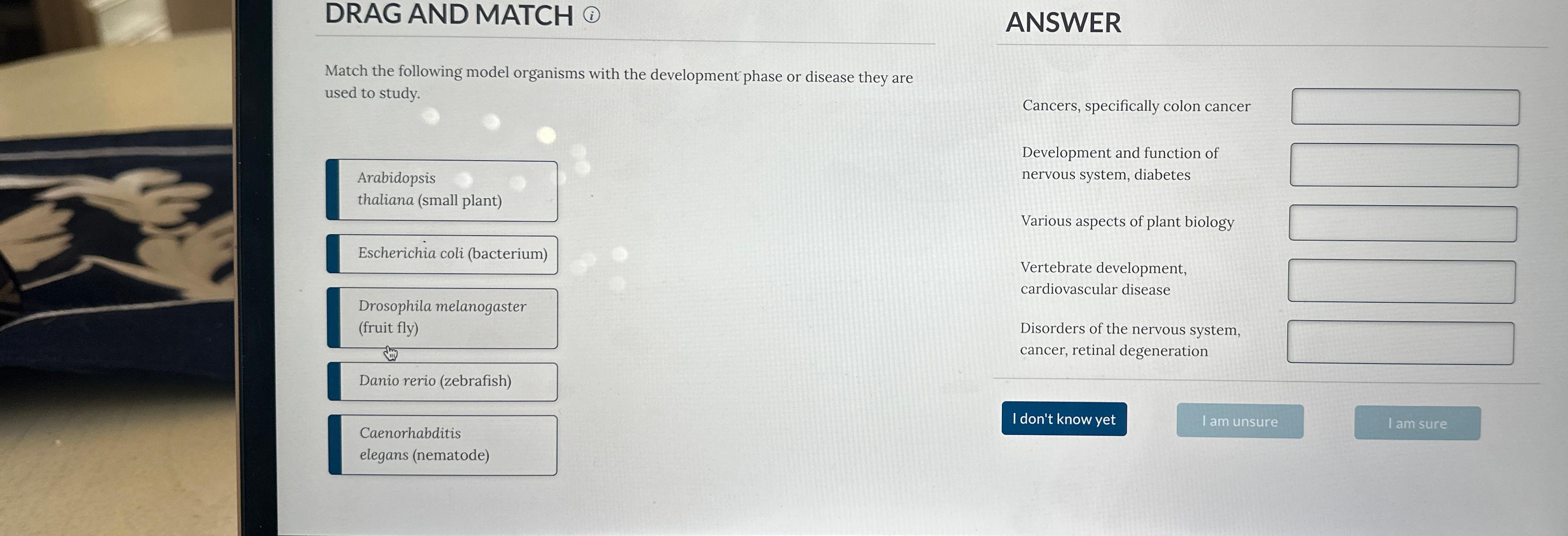 Solved DRAG AND MATCH (i)ANSWERMatch the following model | Chegg.com