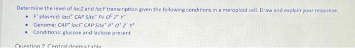 Solved Determine the level of lacz and lacy transcription | Chegg.com