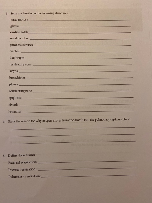 Solved 3. State the function of the following structures: | Chegg.com