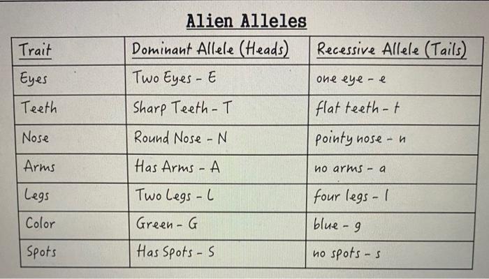 Solved Name: Date: Alien Punnett Square a Directions: Part | Chegg.com