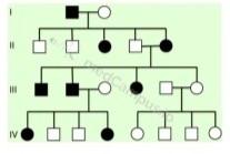 Solved mode inheritance pattern in human | Chegg.com