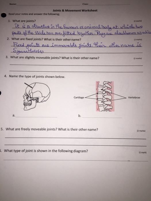 Solved Name Joints Movement Worksheet Read Your Notes And Chegg
