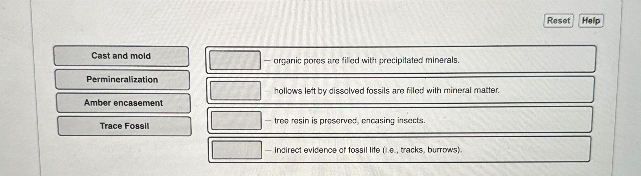 Solved Cast and moldPermineralizationAmber encasementtree | Chegg.com