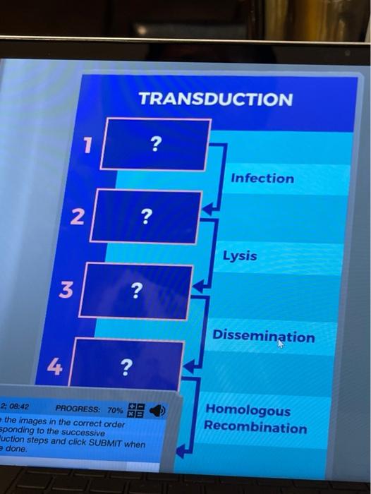 TRANSDUCTION 1 ? Infection N ? Lysis 3 ? | Chegg.com