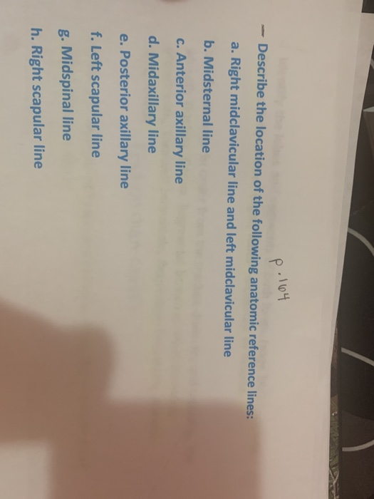 Solved p. 164 Describe the location of the following | Chegg.com