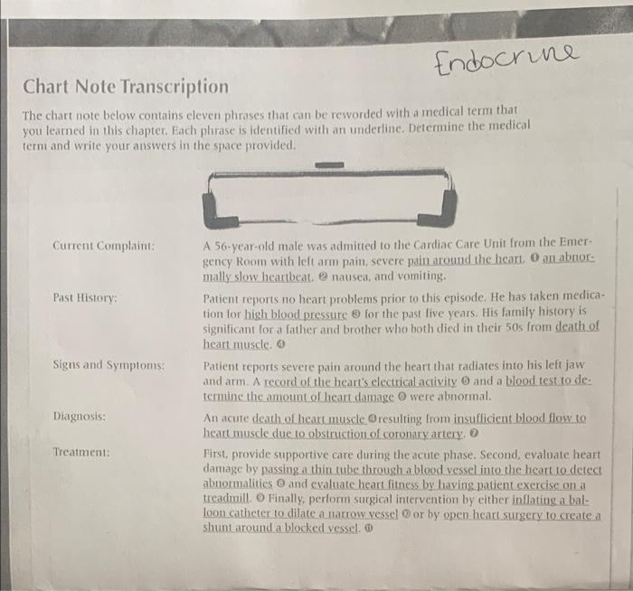 Solved Endocrine Chart Note Transcription The chart note | Chegg.com
