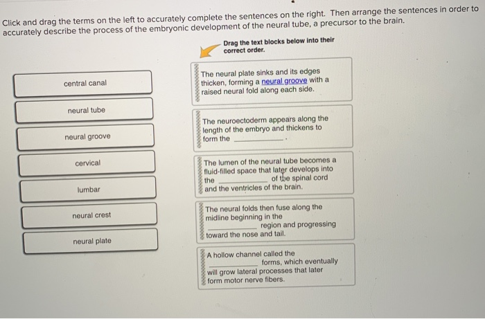 Solved Click and drag the terms on the left to accurately | Chegg.com