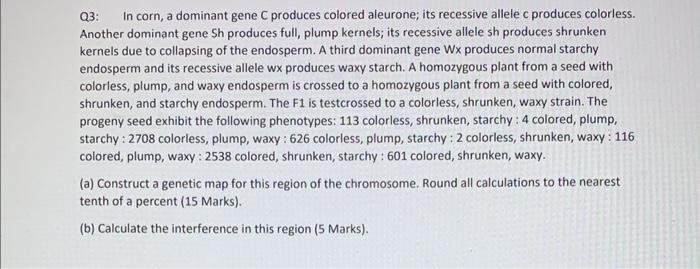 Solved Q3: In corn, a dominant gene C produces colored | Chegg.com